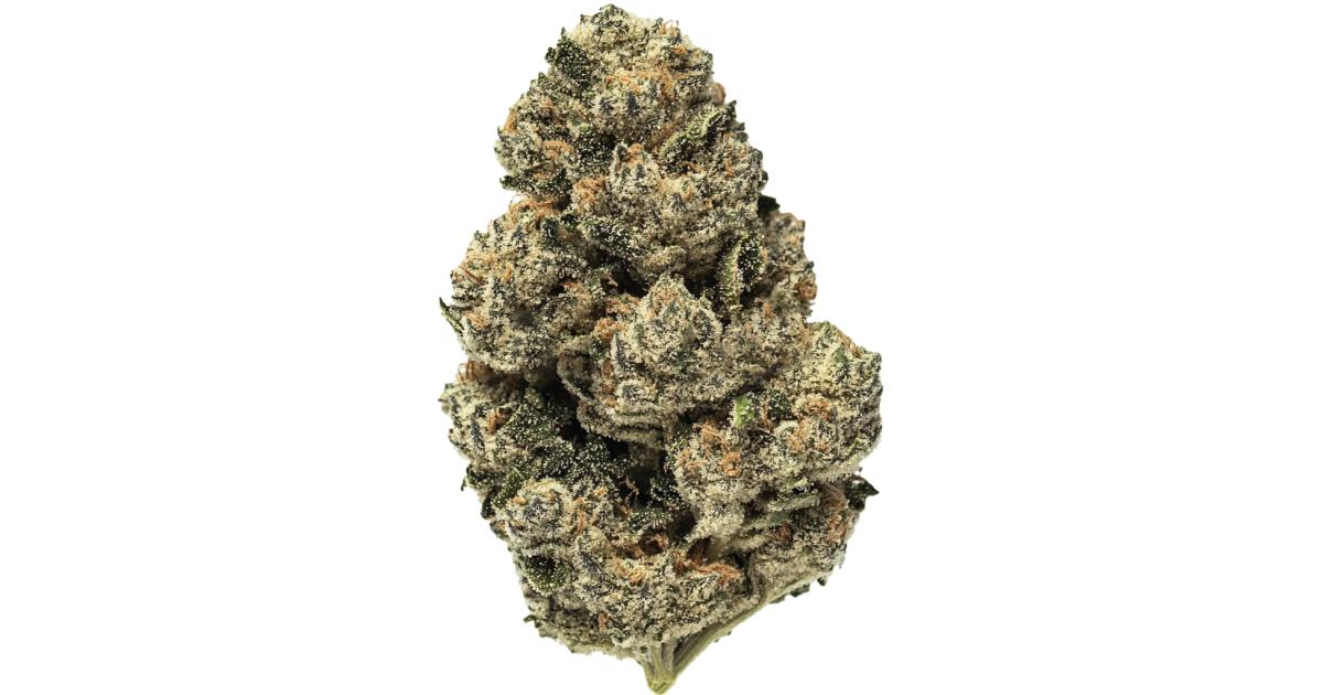 Venom OG Cannabis Strain Info - GrowDiaries