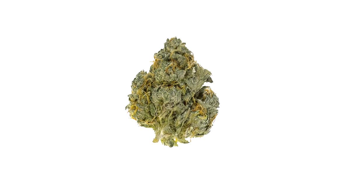 Stuffed Cherry Gelato Cannabis Strain Information - GrowD...