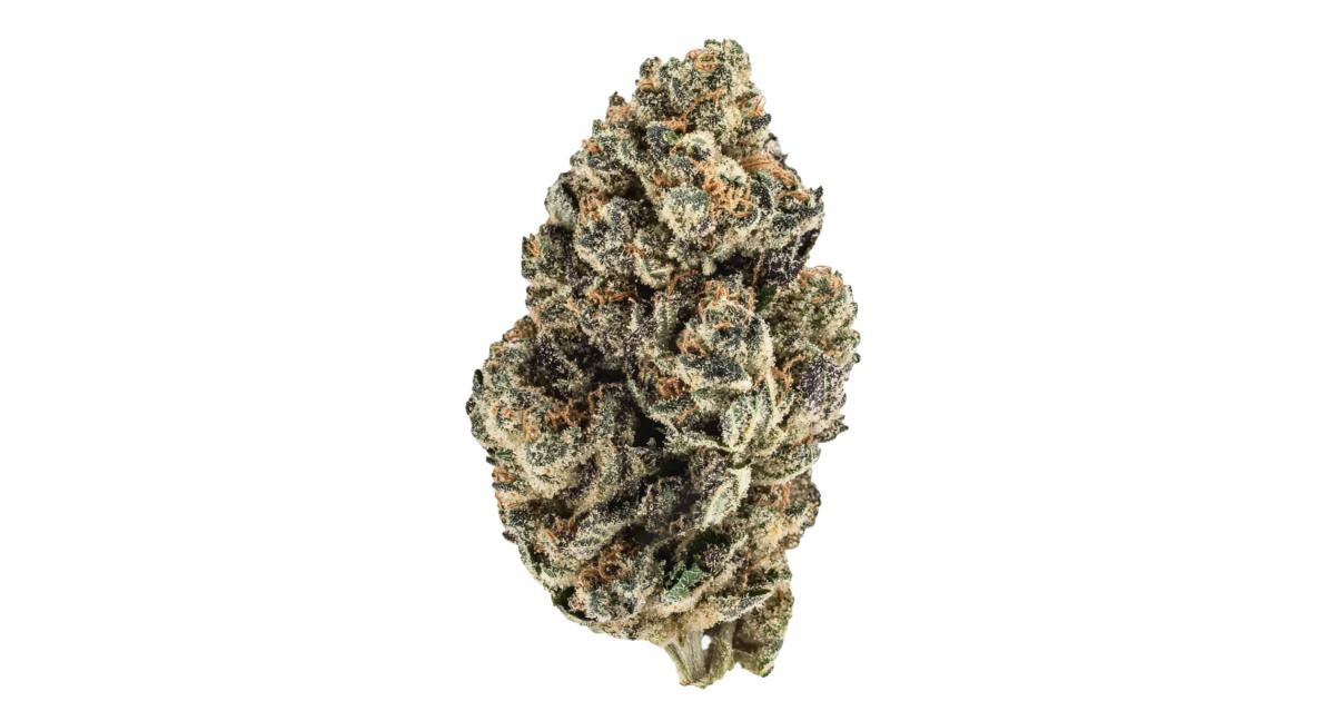 Warhead Cannabis Strain Info - GrowDiaries