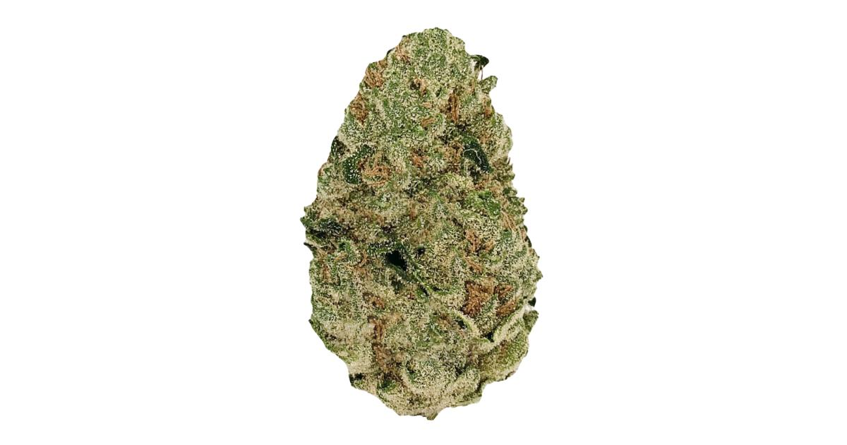 Wedding Pie Cannabis Strain Information - GrowDiaries
