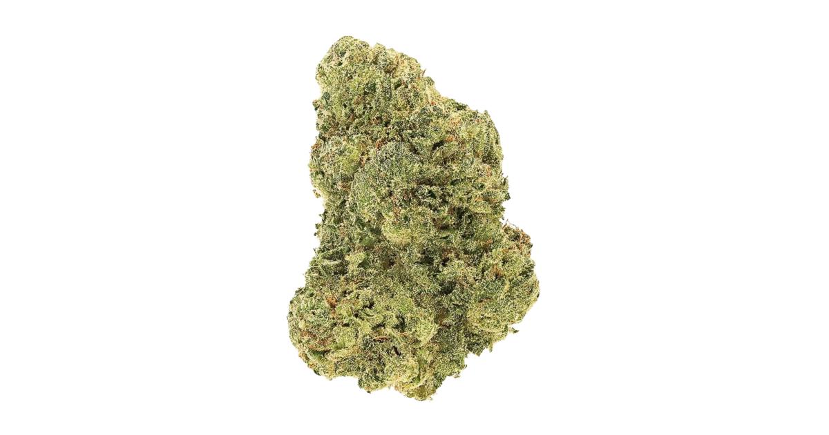 Alaskan Ice Cannabis Strain Information - GrowDiaries