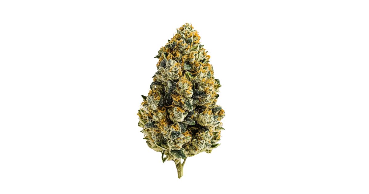 Sweet Kush Cannabis Strain Information - GrowDiaries