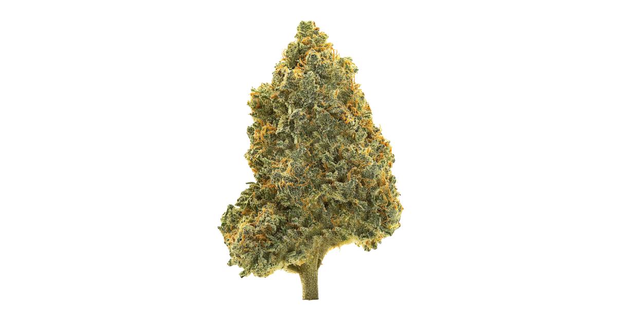 Juggernaut Cannabis Strain Products - GrowDiaries
