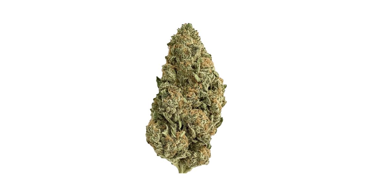 Mango Cannabis Strain Information - GrowDiaries