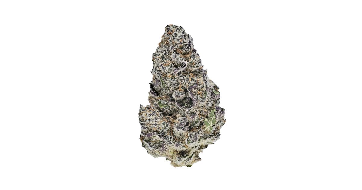 Blue Lobster Cannabis Strain Information - GrowDiaries