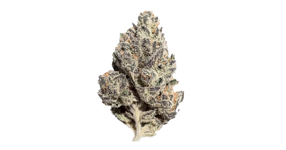 Pluto Cannabis Strain Information - GrowDiaries
