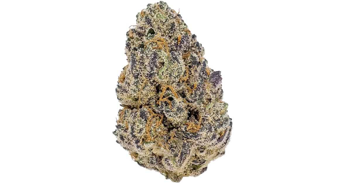 Black Cherry Punch Cannabis Strain Harvests - GrowDiaries