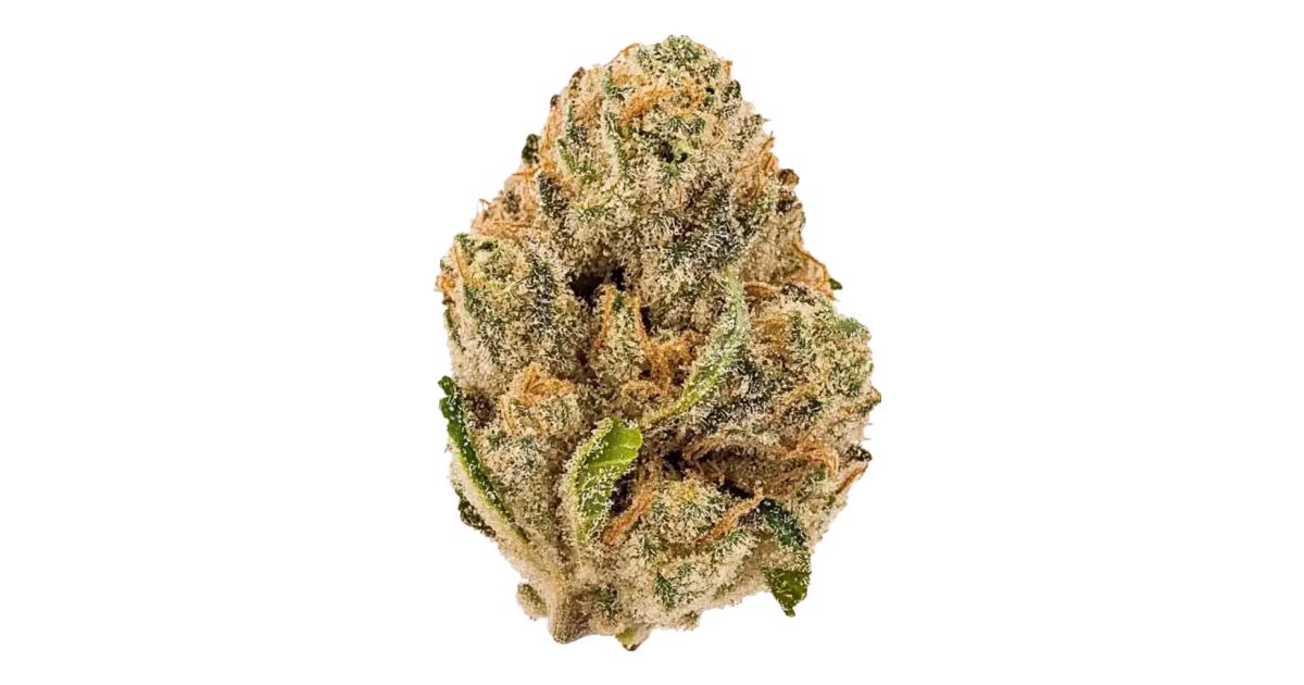 Snowman Cannabis Strain Information - GrowDiaries