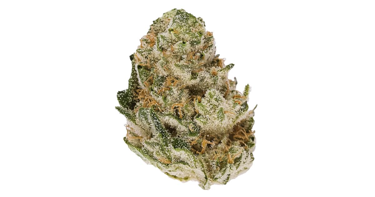 Snowball Cannabis Strain Products - GrowDiaries