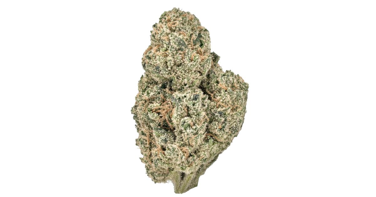 Tangerine Dream Cannabis Strain Diaries - GrowDiaries