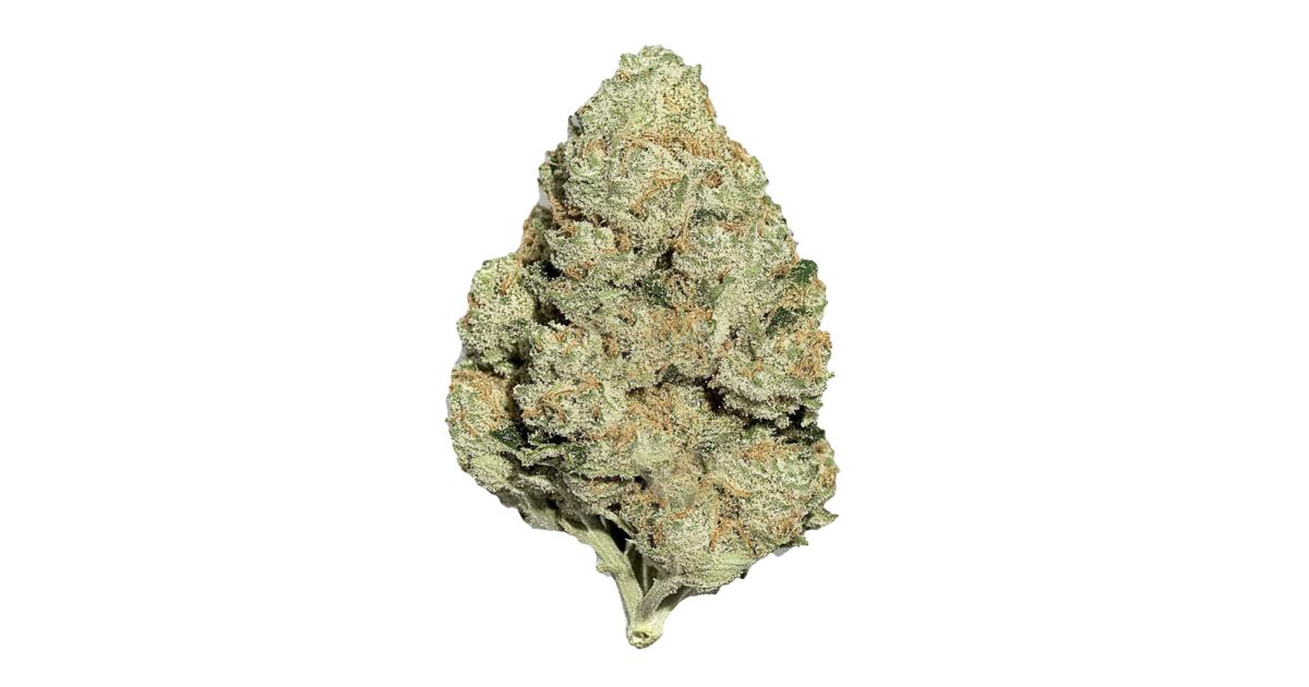 Lemon Cake Cannabis Strain Information - GrowDiaries