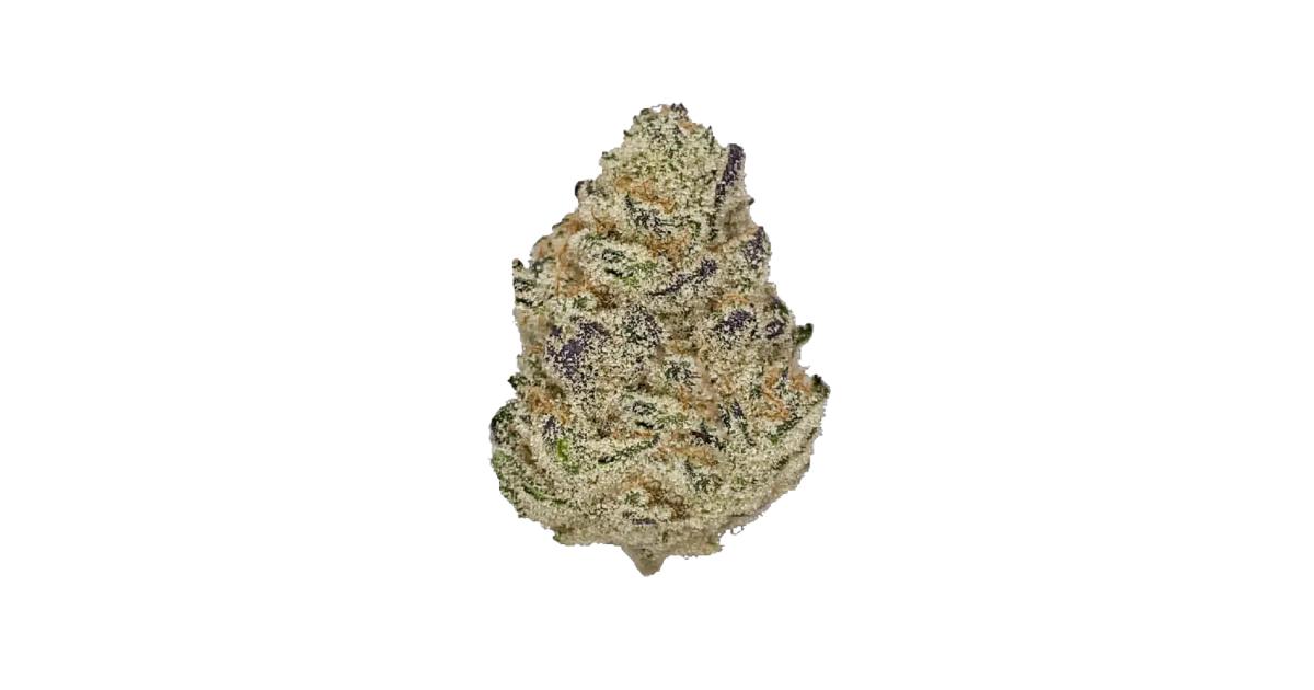 Platinum TK41 Cannabis Strain Information - GrowDiaries