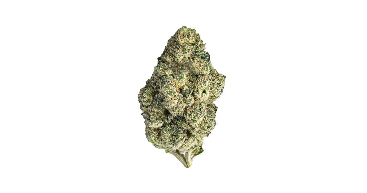 First Class Funk Cannabis Strain Information - GrowDiaries