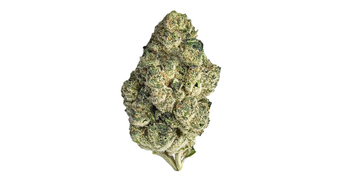 First Class Funk Cannabis Strain Information - GrowDiaries