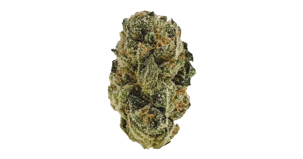 ZaZa Cannabis Strain Information - GrowDiaries