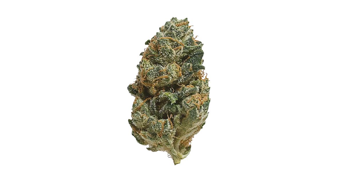 Cherry Bomb Cannabis Strain Information - GrowDiaries