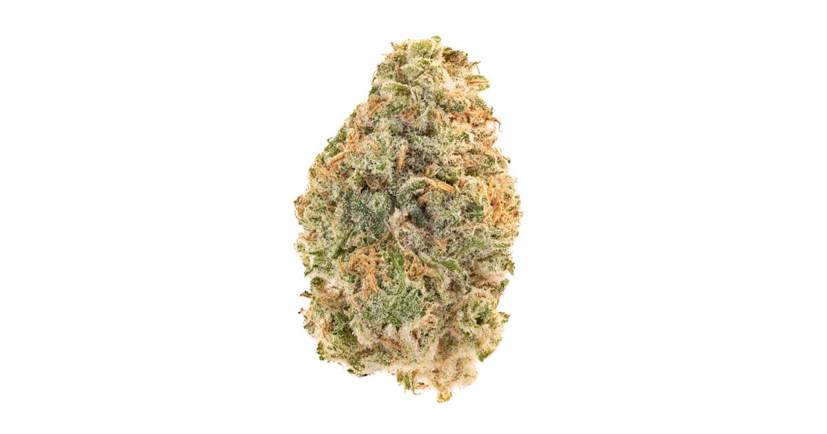 Citrus Dream Cannabis Strain Information - GrowDiaries