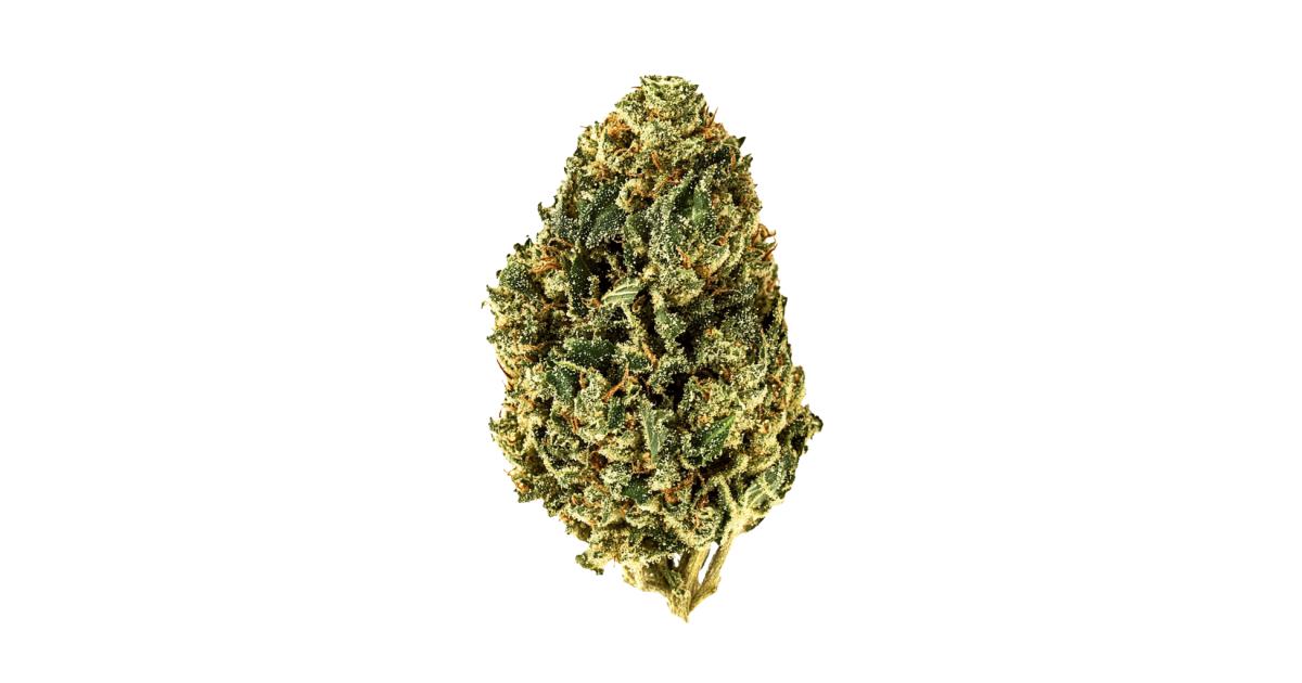 Jack Wreck Cannabis Strain Information - GrowDiaries