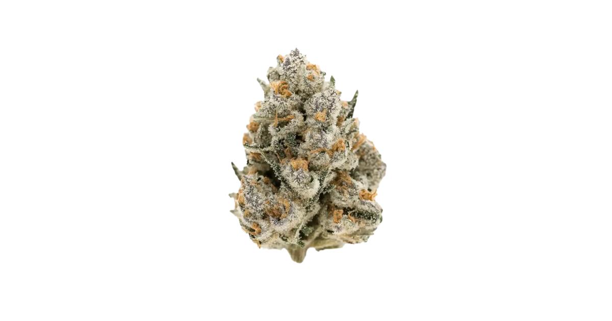 Pink Guava Cannabis Strain Information - GrowDiaries