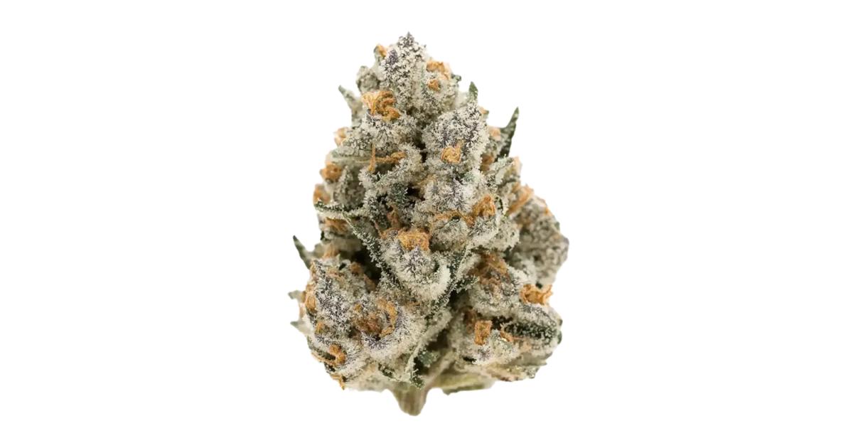 Pink Guava Cannabis Strain Information - GrowDiaries
