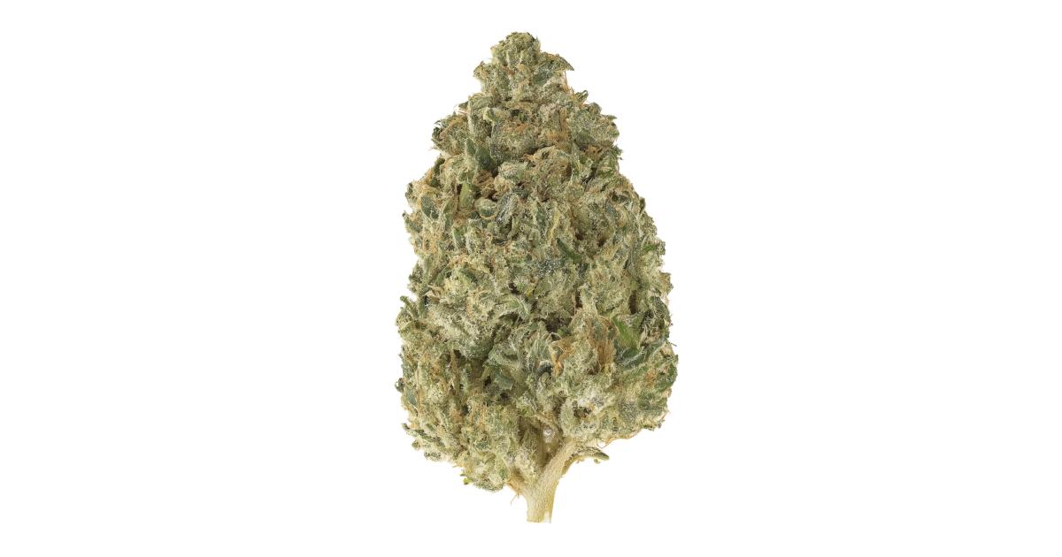 Corn Cob Cannabis Strain Information - GrowDiaries