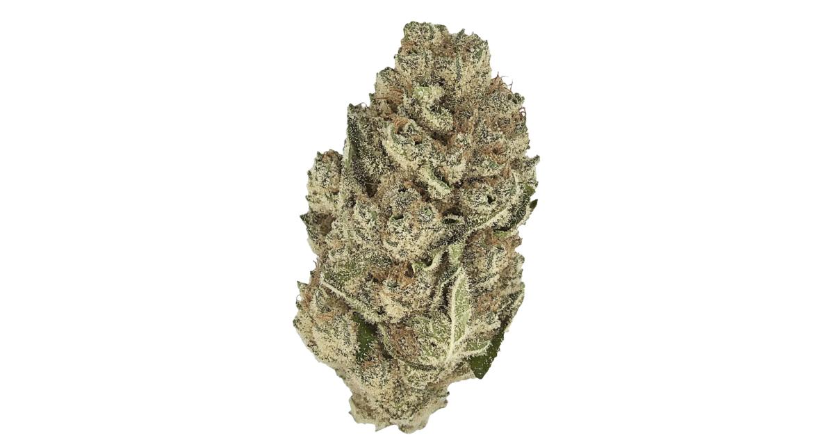 Grape Cream Cake Cannabis Strain Info - GrowDiaries