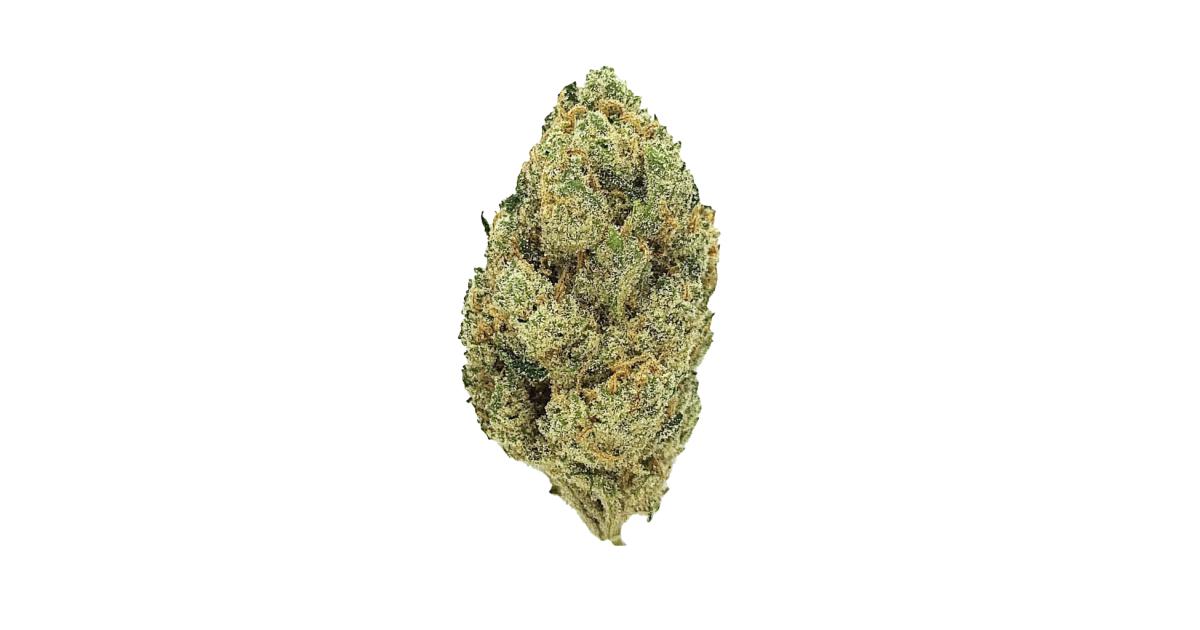 Orange Crush Cannabis Strain Information - GrowDiaries