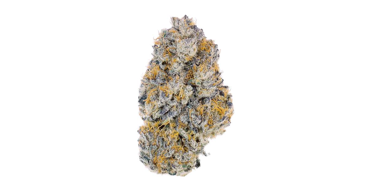 Ortega Cannabis Strain Information - GrowDiaries