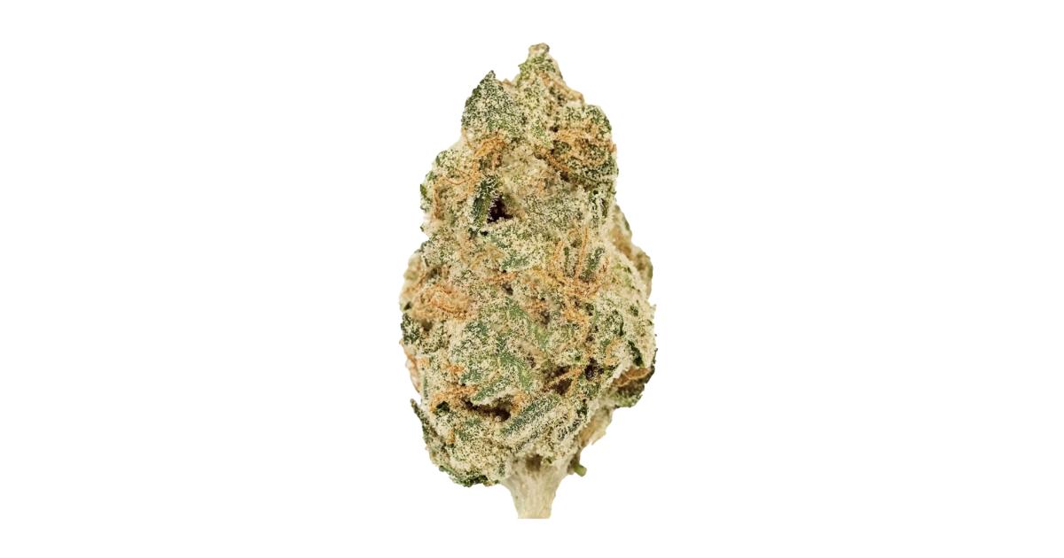 Orange Creamsicle Cannabis Strain Information - GrowDiaries