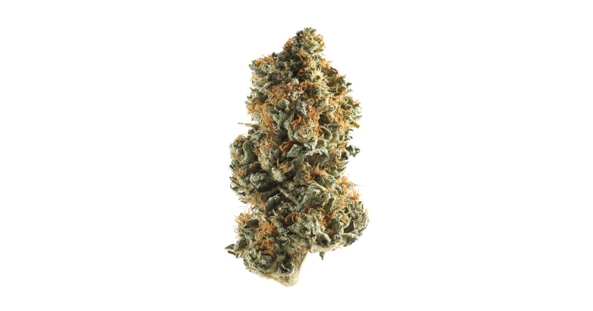 Chem Pie OG Cannabis Strain Harvests - GrowDiaries