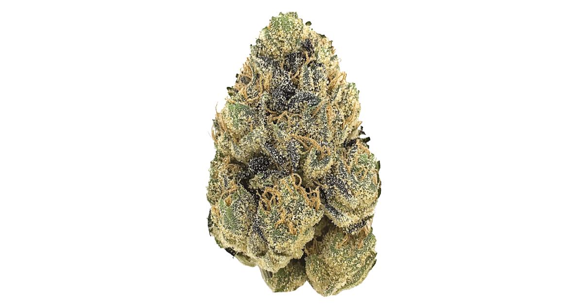 Key Lime Pie Cannabis Strain Information - GrowDiaries