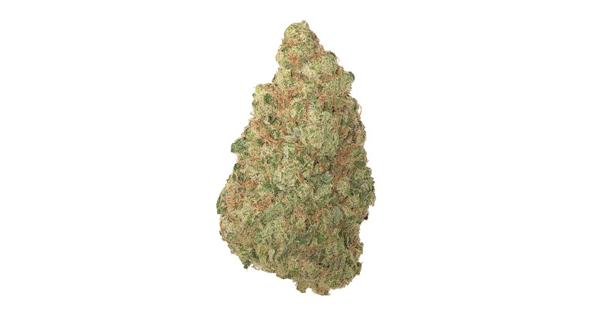 Green Crack Cannabis Strain Information - GrowDiaries