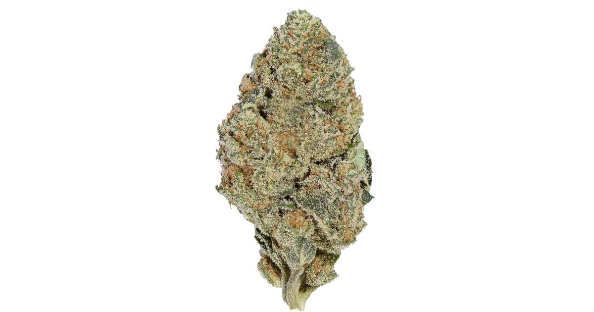 Mac and Cheese Cannabis Strain Reviews - GrowDiaries