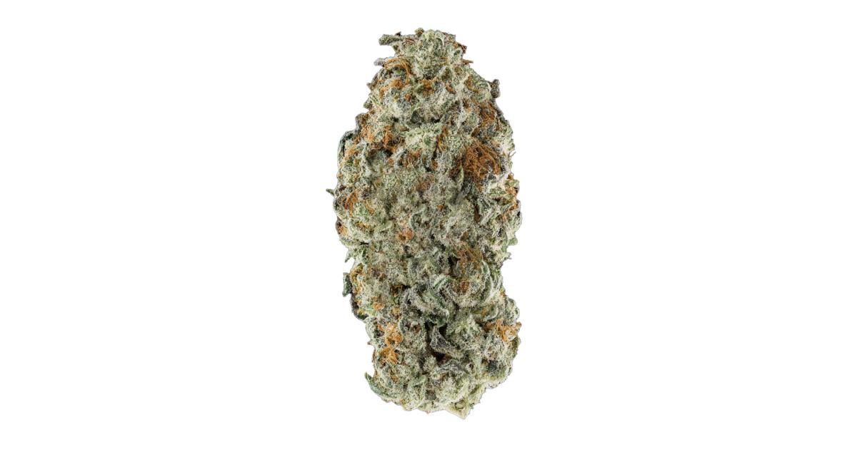 Insane OG Cannabis Strain Diaries - GrowDiaries