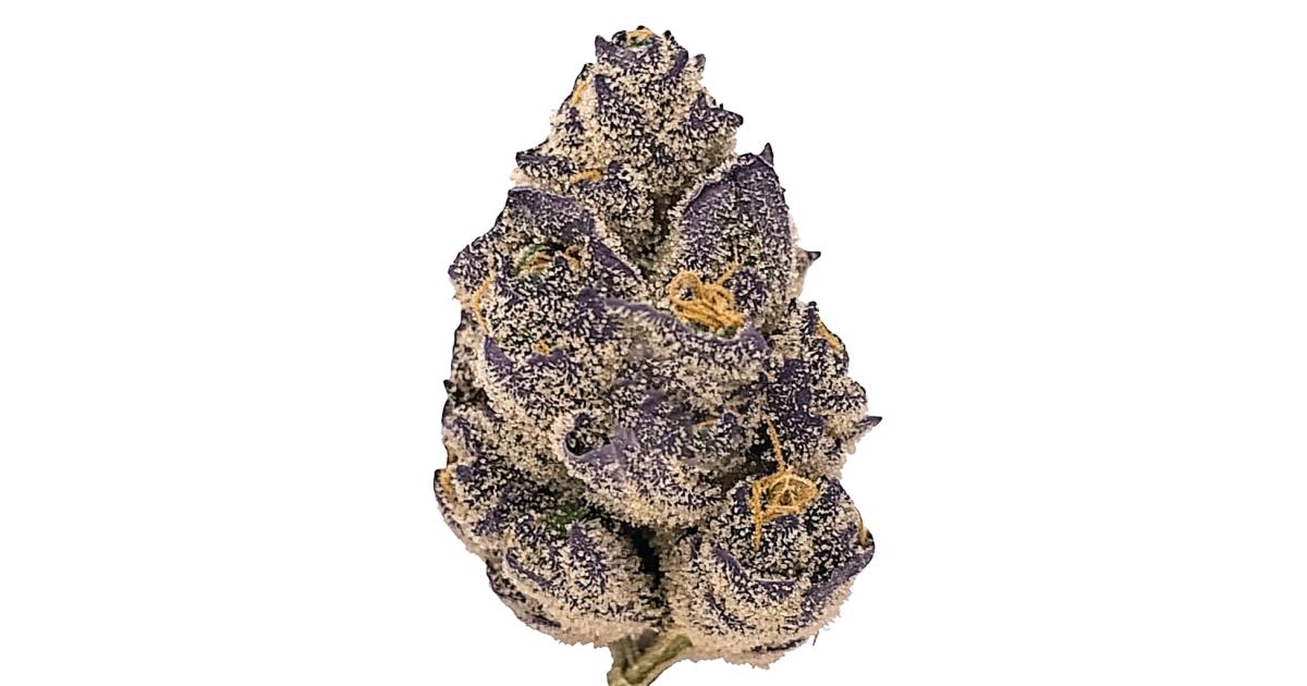 Purple Palm Tree Delight Cannabis Strain Information - GrowDiaries