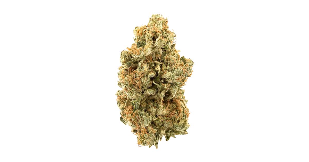 Passion Fruit Cannabis Strain Information - GrowDiaries