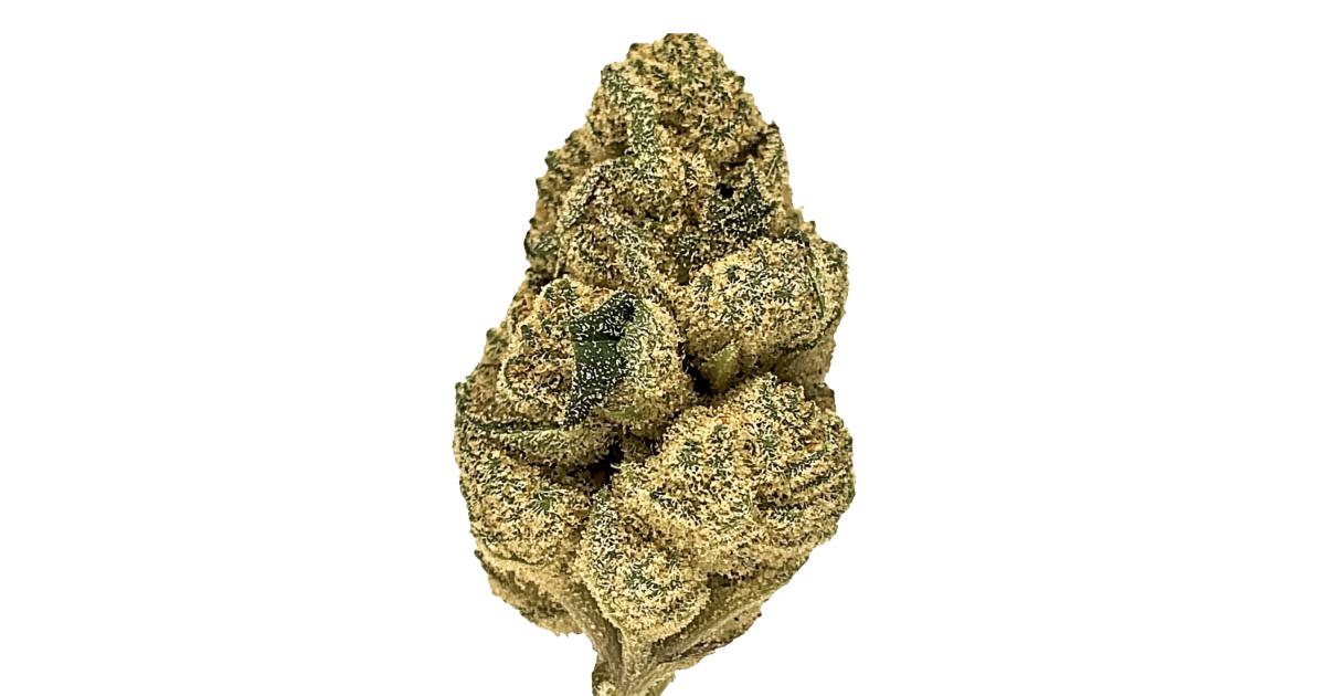 Passion Fruit Cannabis Strain Information - GrowDiaries