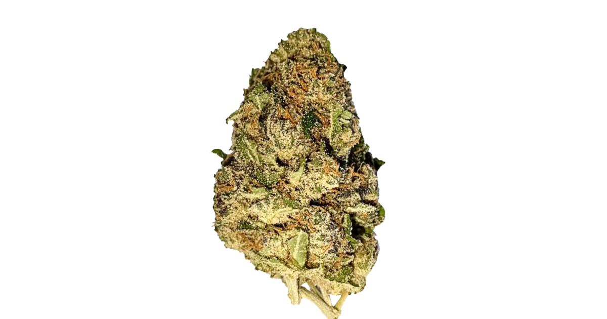 Purple Punch Cannabis Strain Information - GrowDiaries