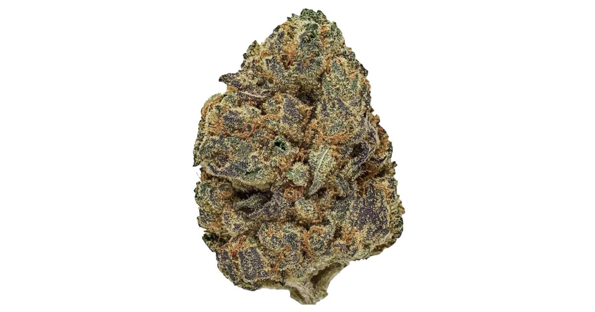 Papaya Punch Cannabis Strain Information - GrowDiaries
