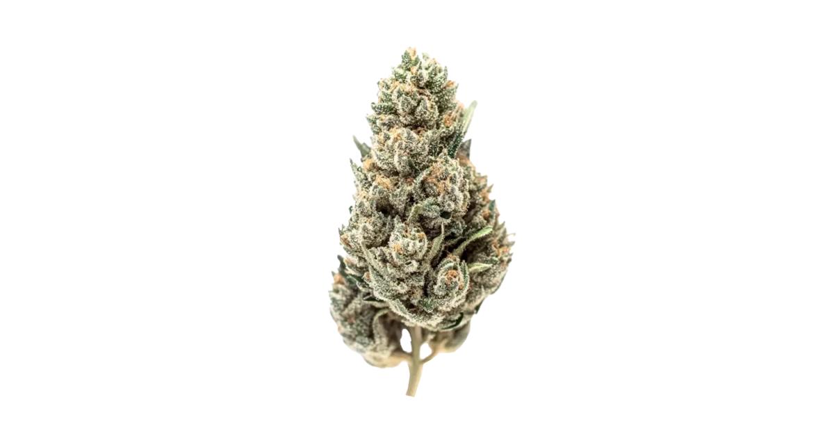Thai Cannabis Strain Information - GrowDiaries