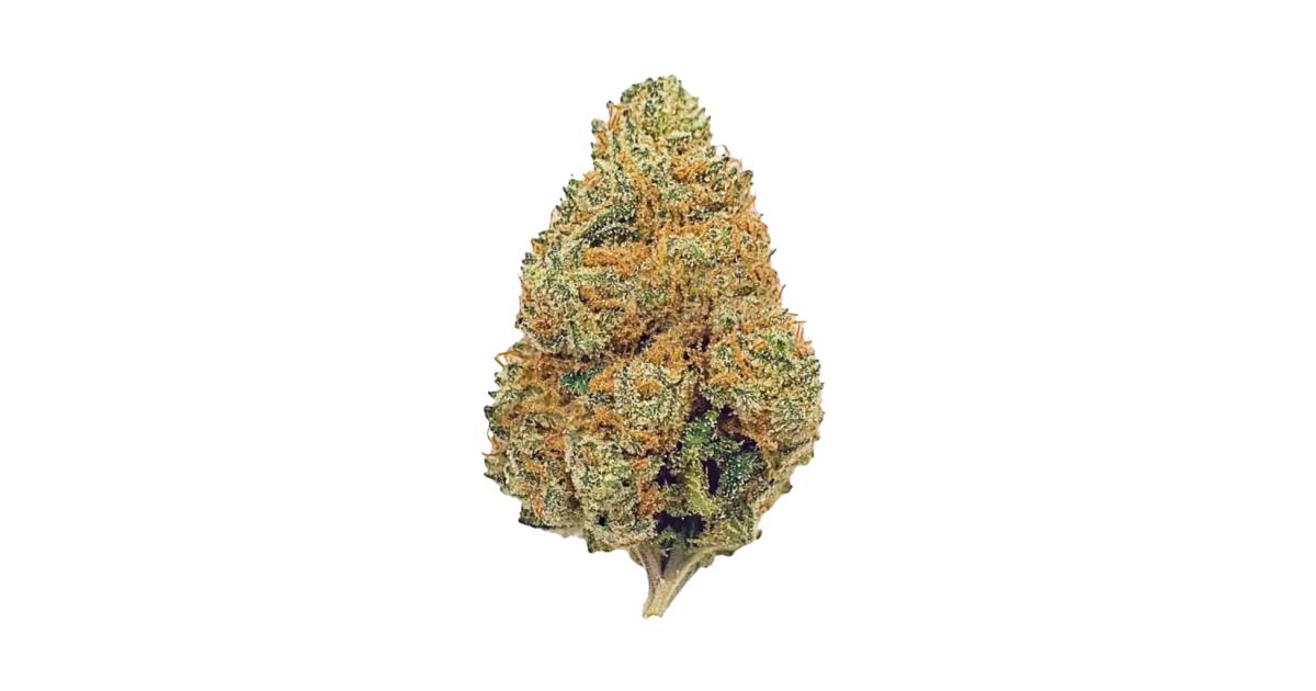 Fruit Punch Cannabis Strain Information - GrowDiaries