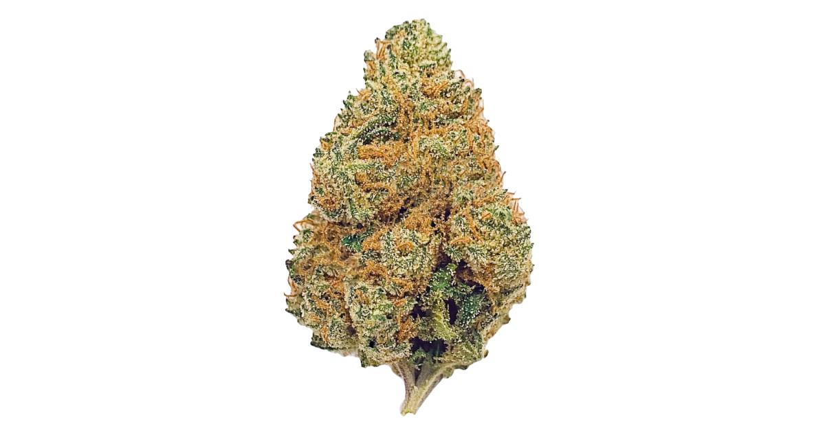 Fruit Punch Cannabis Strain Reviews - GrowDiaries