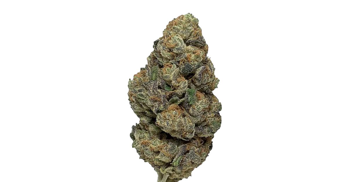 Face Off OG Cannabis Strain Information - GrowDiaries