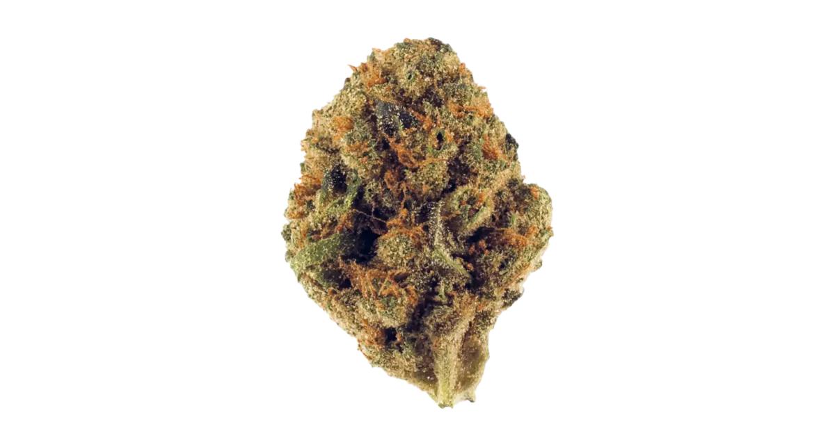 Pink Runtz Cannabis Strain Information - GrowDiaries