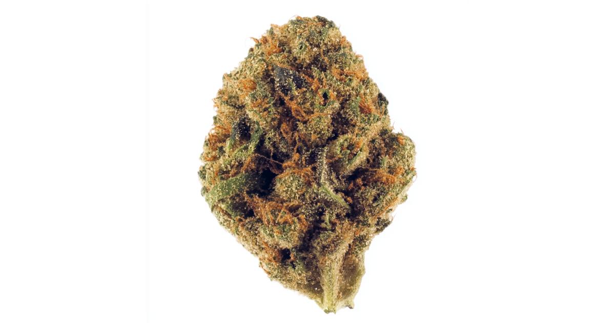 Pink Runtz Cannabis Strain Diaries - GrowDiaries