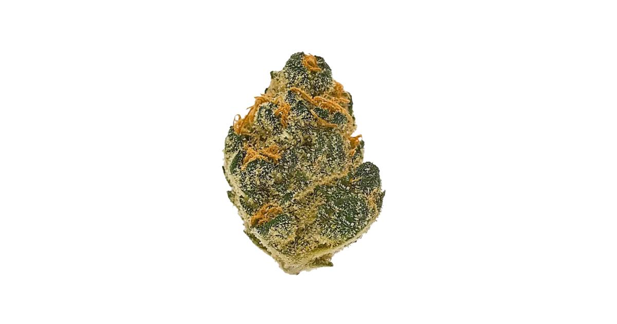 Orange Kush Cannabis Strain Information - GrowDiaries