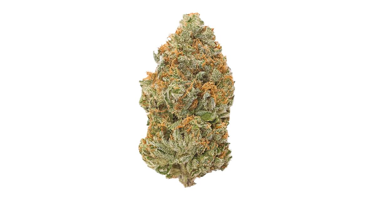 Lemon OZ Cannabis Strain Information - GrowDiaries