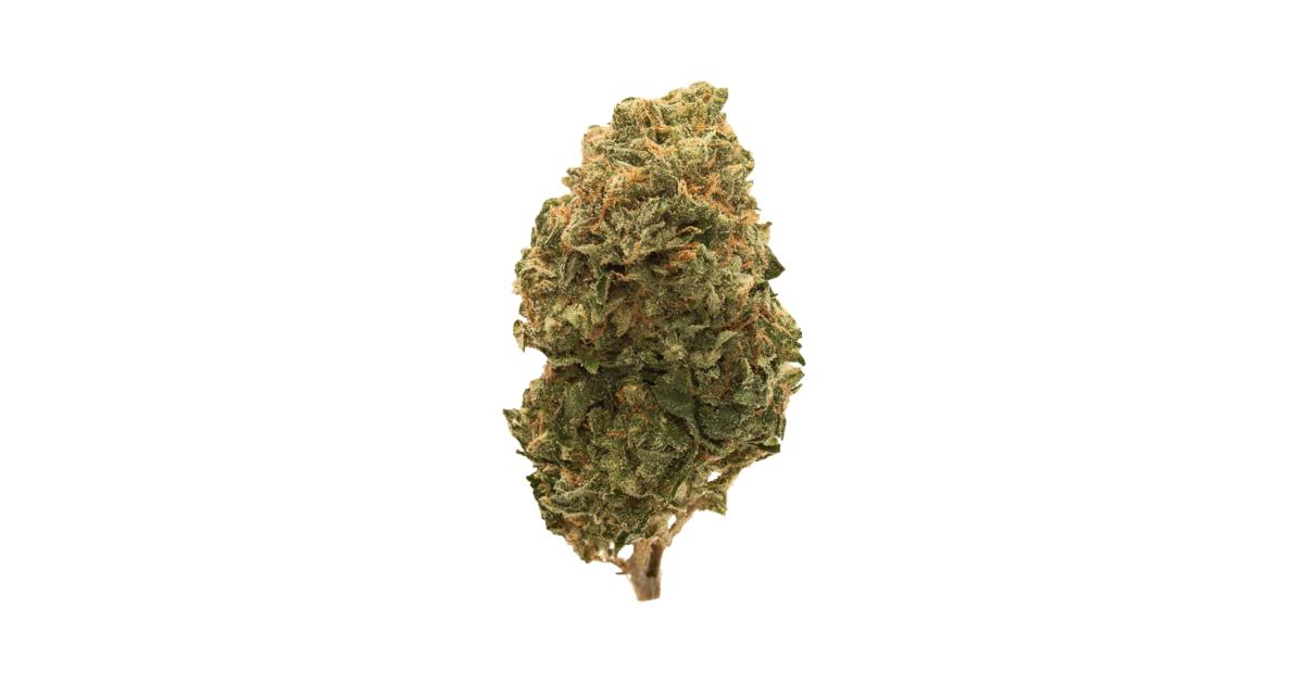 Garlic Storm Cannabis Strain Diaries - GrowDiaries