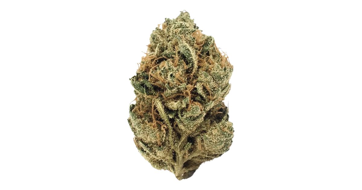 Dutch Treat Cannabis Strain Information - GrowDiaries