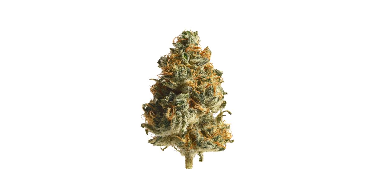 Little Tokyo Cannabis Strain by Capulator Information